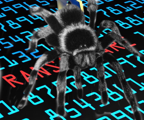 File Spider ransomware: what is it? | Spyware Rid